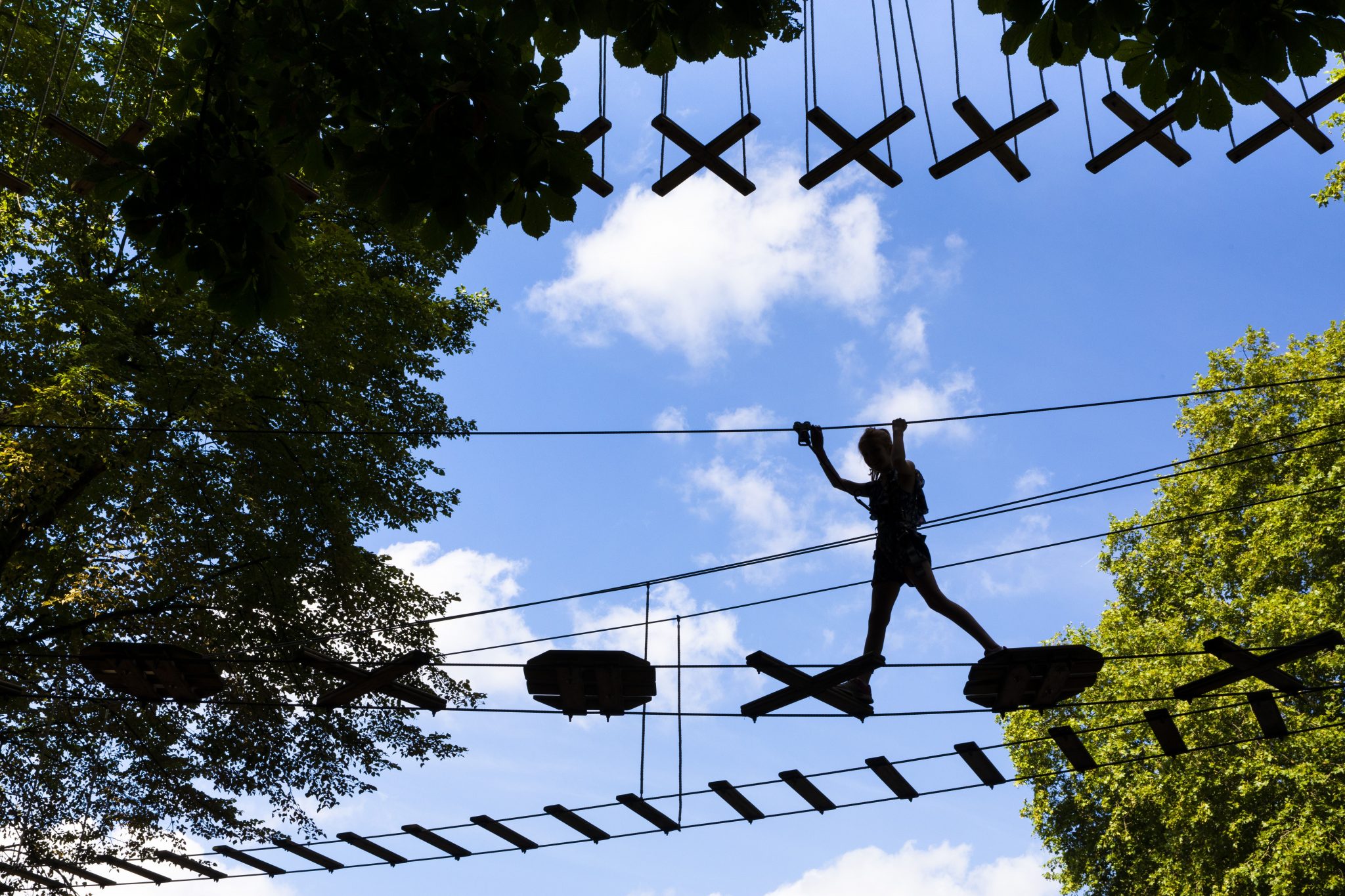 Go Ape in The Loch Lomond & Trossachs National Park near Aberfoyle ...